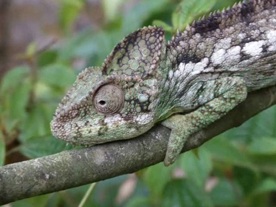 Ish&Lane Tours Voyages Est, Sud et Sudest - Vidéo Dailymotion