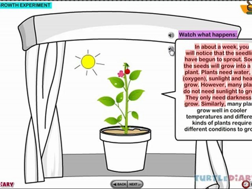 Plant Growth Experiment - video Dailymotion
