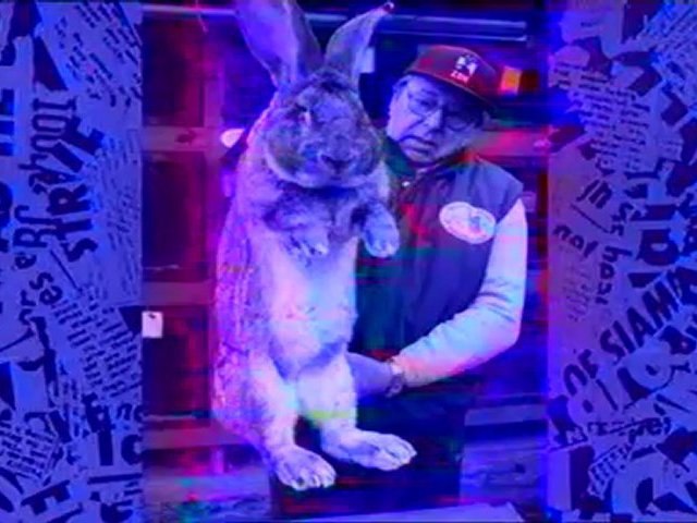 HIGNFY by KulaCactus - Dailymotion