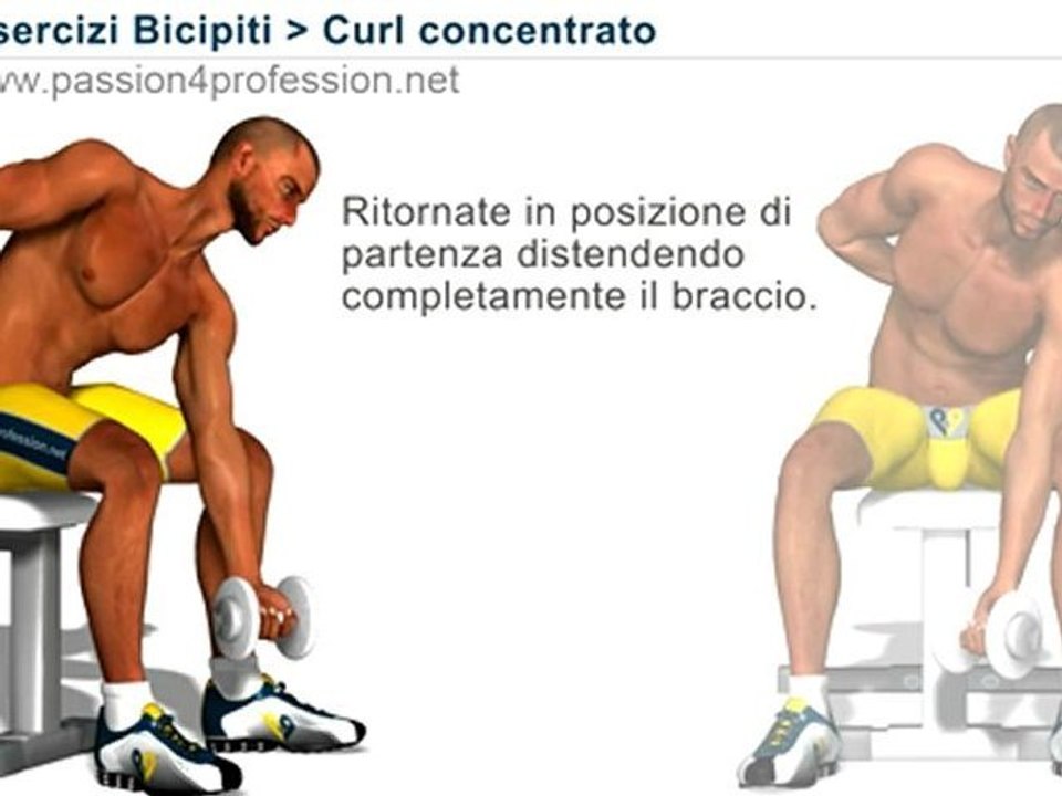 Curl concentrato - Esercizi Bicipiti – Видео Dailymotion