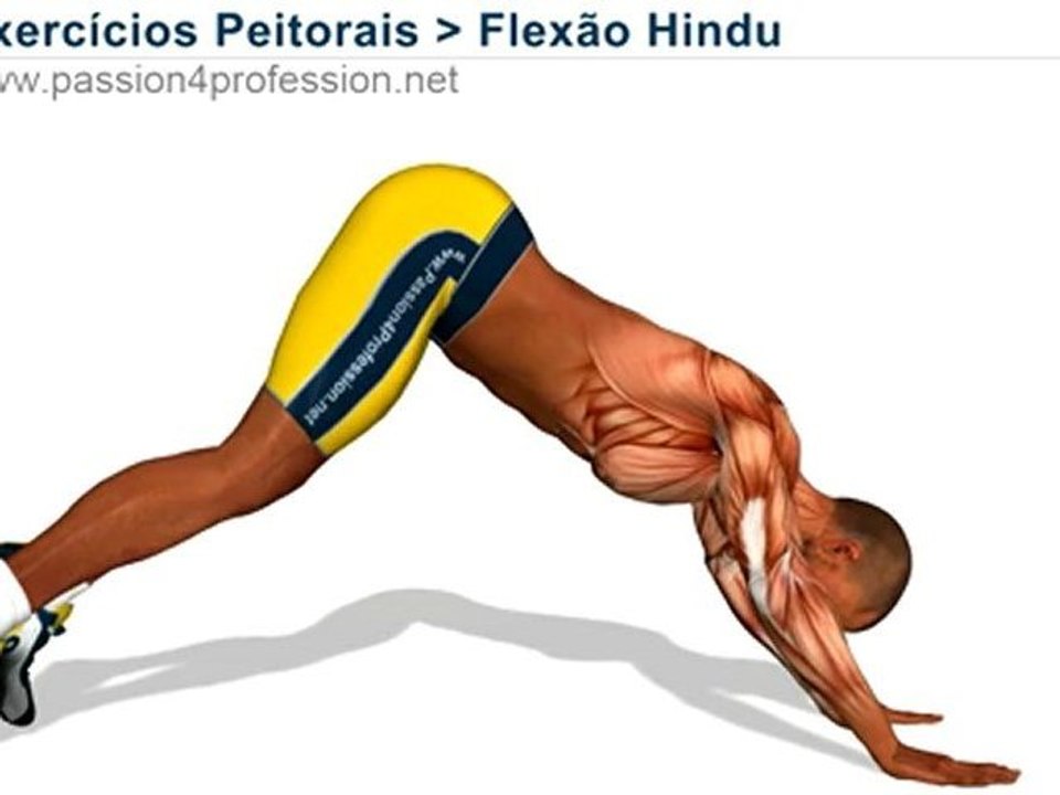 Flexão, Hindu para treinar peito tríceps e ombros – Видео Dailymotion