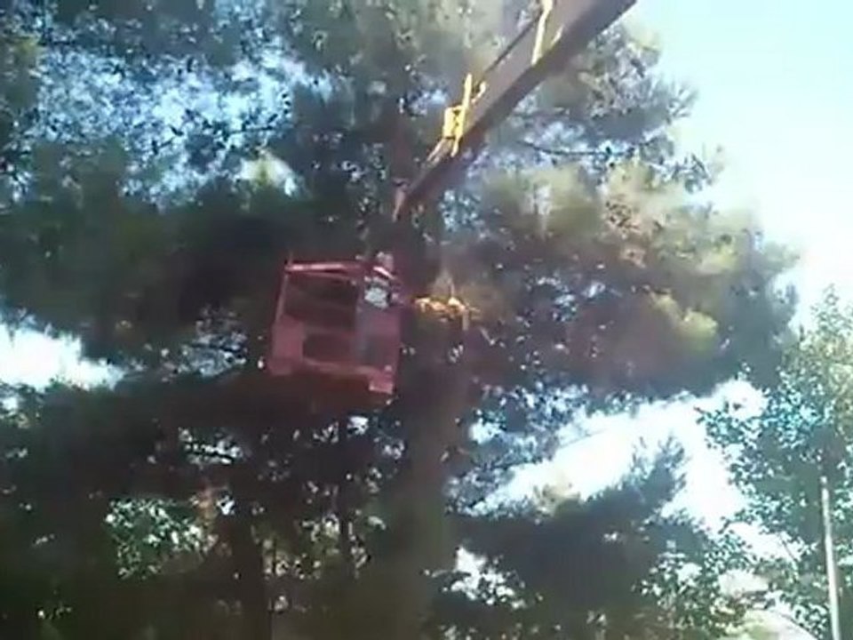 κλαδεμα δεντρων με γερανο καλαθοφορο - video Dailymotion