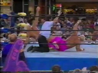 WcW Road to Fall Brawl 1995 von e.leppers - Dailymotion