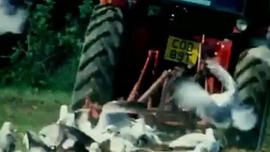 Natural World Farm for the Future - Video Dailymotion