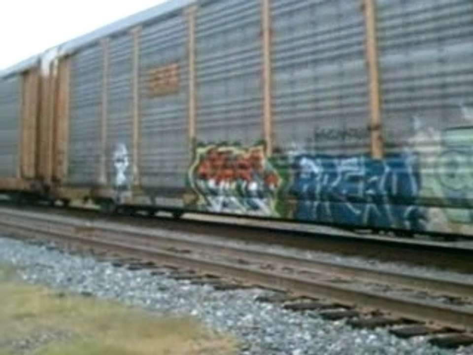 NS #204 - video Dailymotion