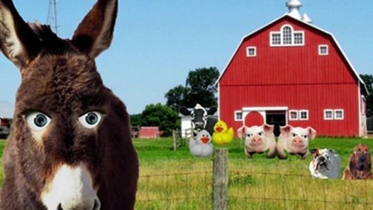 old macdonald had a farm Nursery Rhyme - video dailymotion