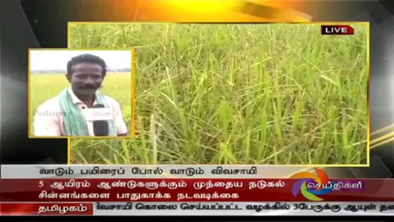 Polimer TV Live - TamilTV-tv - video Dailymotion