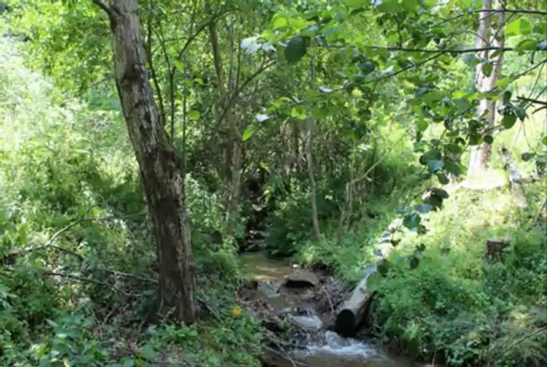 Ali Krasniqi - Kanga Ram Bllaca - video Dailymotion