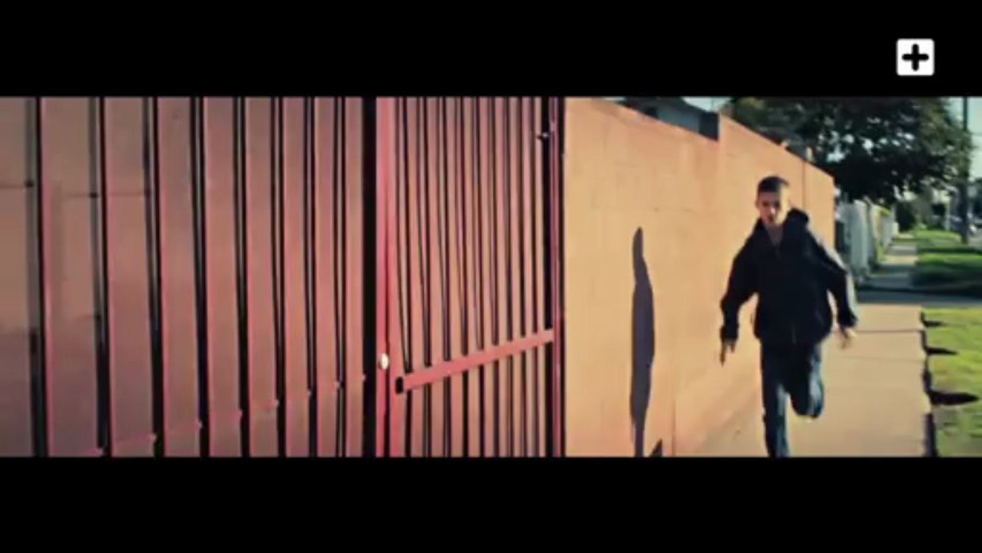 Amba Shepherd Apollo