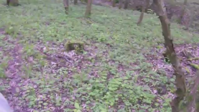 Vidéos de BENJAMIN CLERGET - Dailymotion