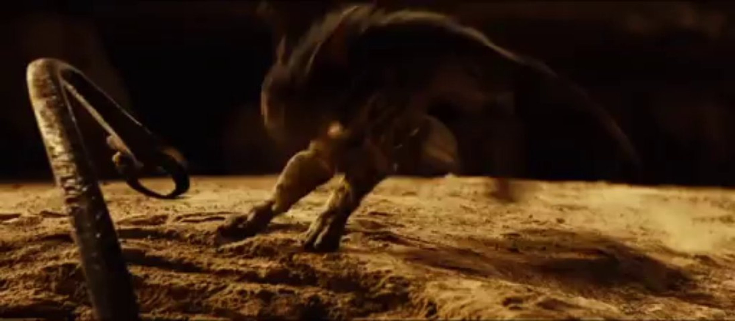 Riddick Dingo Dog Puppy January 2021 Magazine By Dogs Victoria Issuu