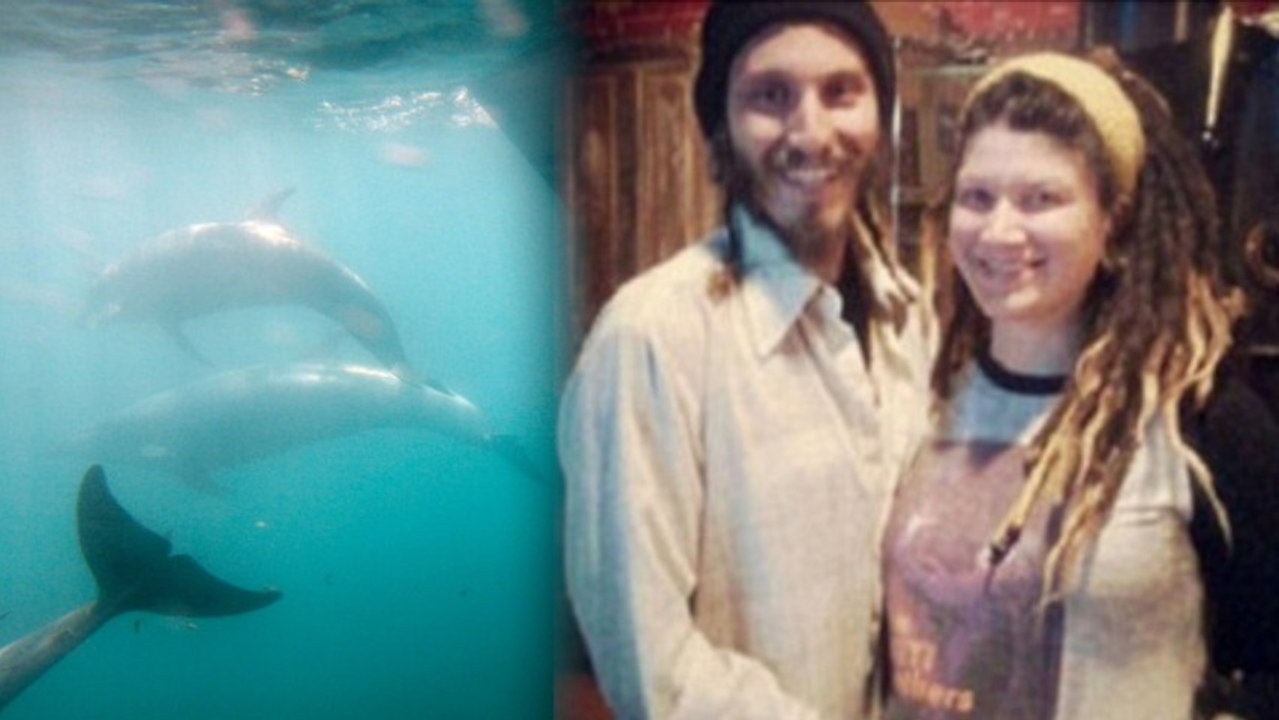 Dolphin Assisted Birth; Better Than a Water Birth? - video Dailymotion