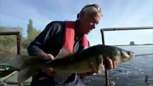 Fishing for mutated monsters in contaminated Chernobyl waters - Vidéo ...