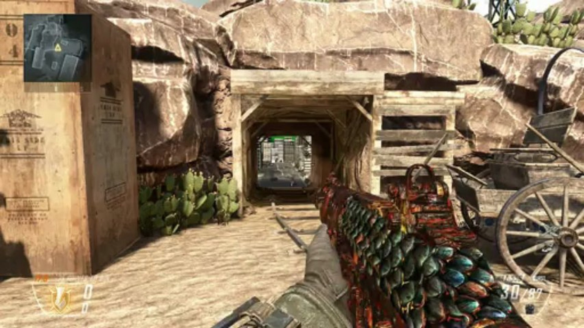 Black Ops 2 Guns Camo