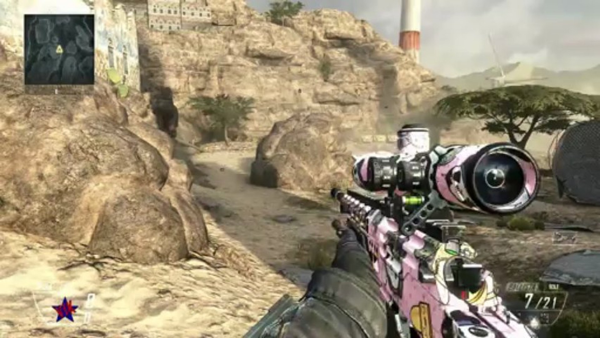 Black Ops 2 Guns Camo