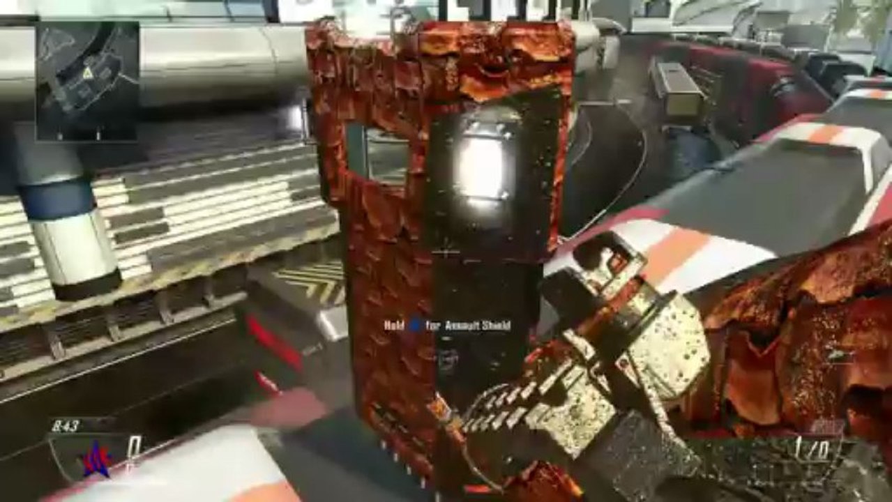 Black Ops 2 BACON Camo on All Weapons - Bacon Personalization Pack ...