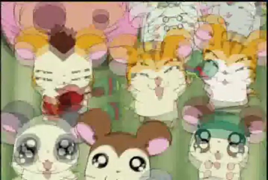 Hamtaro Japanese Opening #3 Final Subbed Version - video Dailymotion