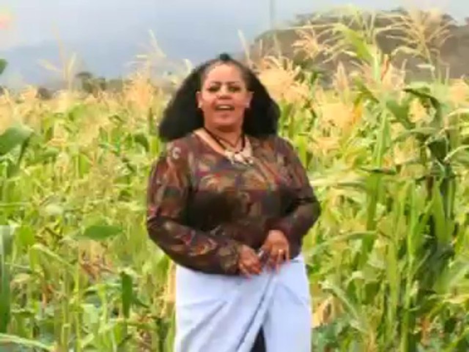 Amazing New Ethiopian music Amsal Mitike - video Dailymotion