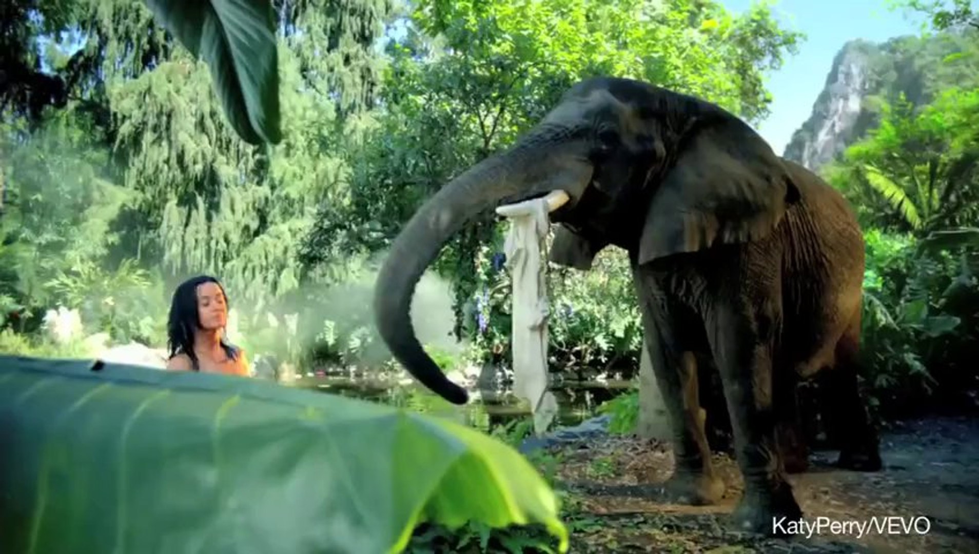 Katy Perry Elephant