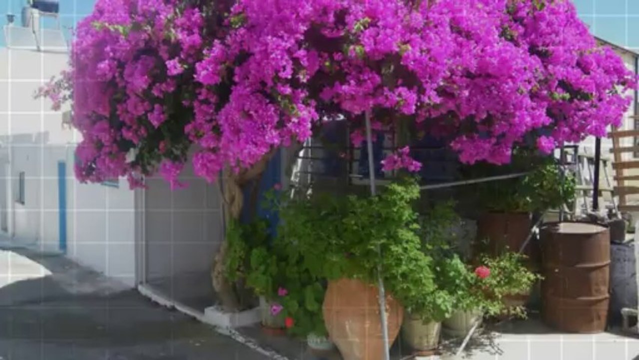 ΜΙΑ ΒΟΛΤΑ ΣΤΟ ΧΩΡΙΟ - video Dailymotion