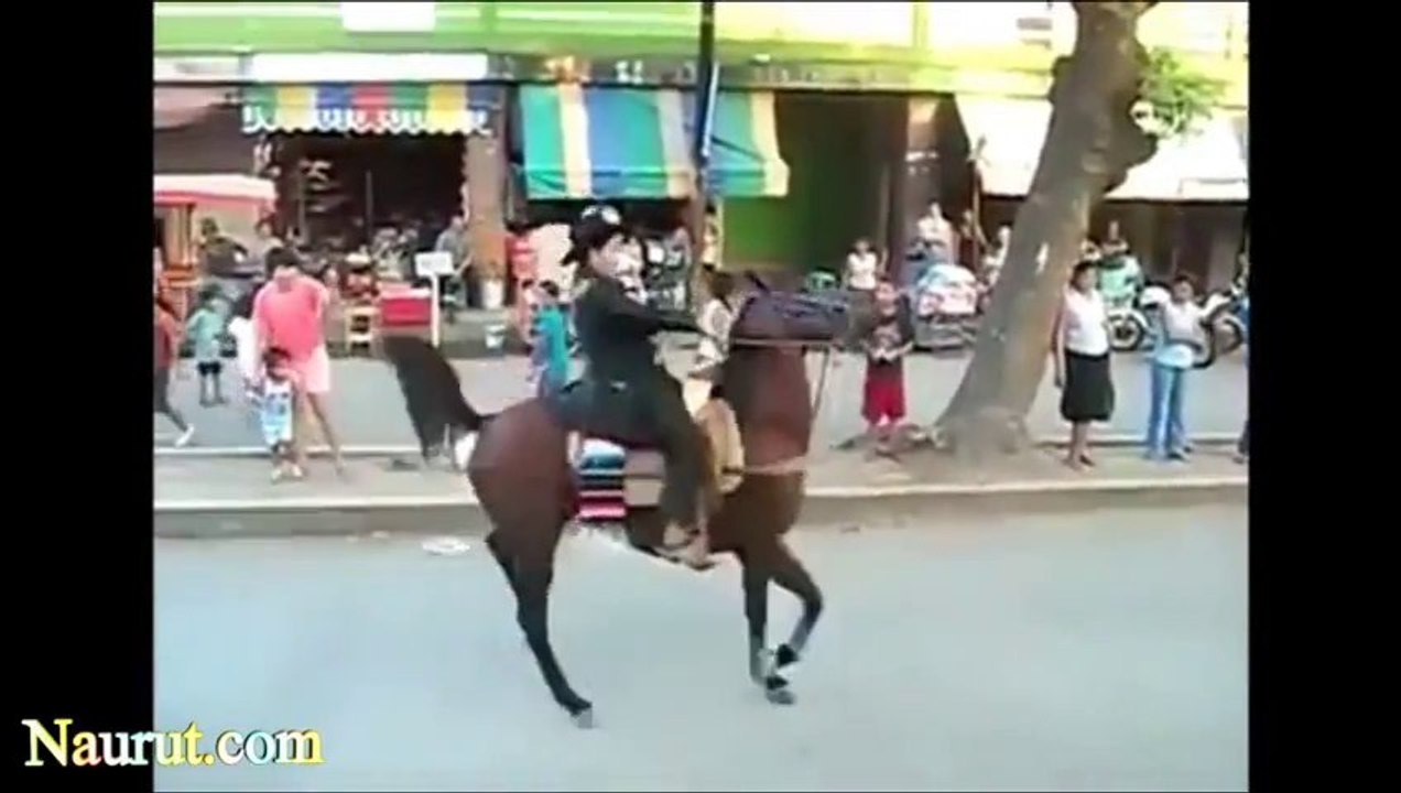 Horses Fails Compilation. So funny! - Vidéo Dailymotion