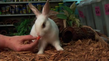 Vidéos de MiniTFO - Dailymotion