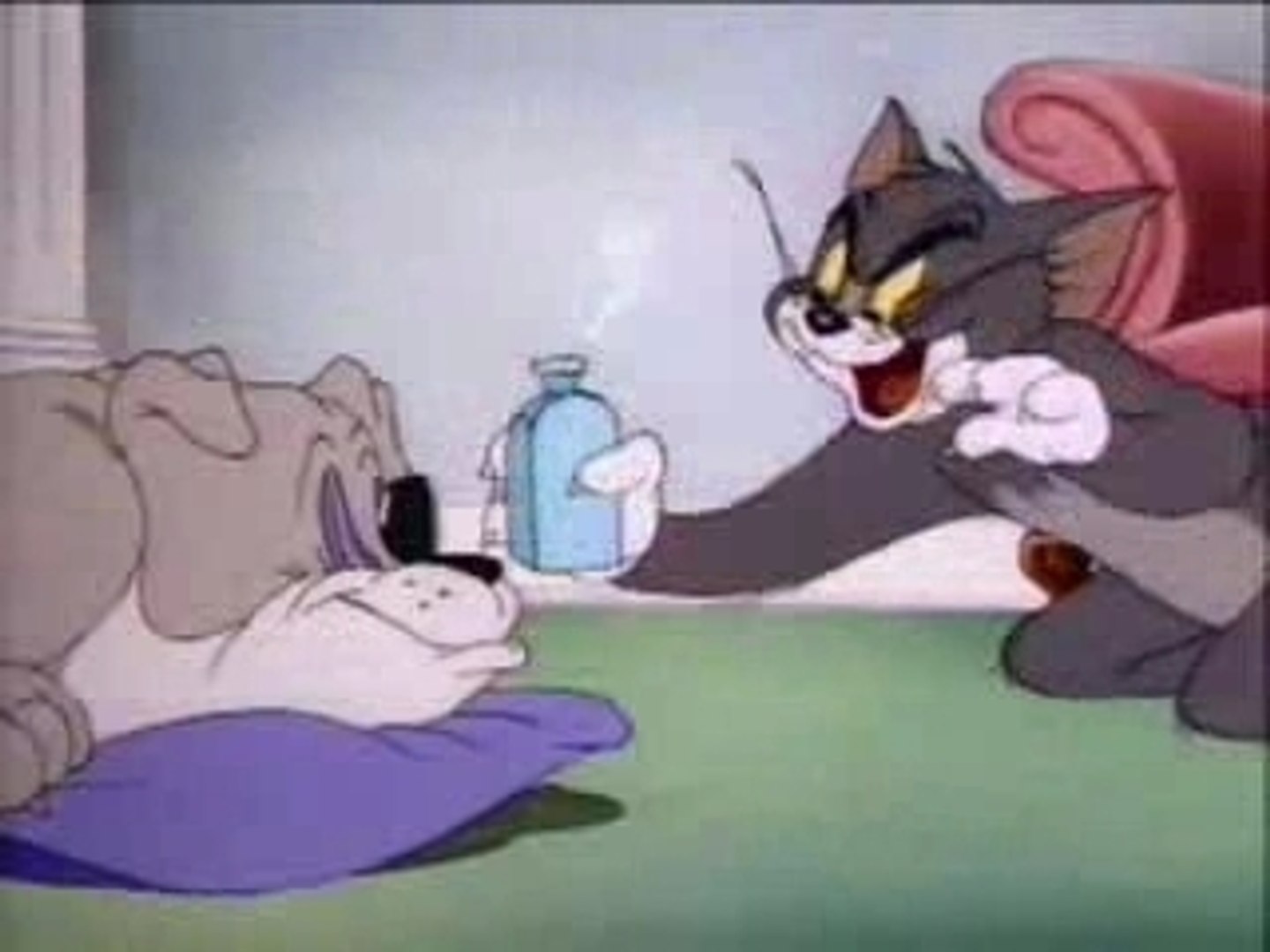 Tom And Jerry Spike Sleeping