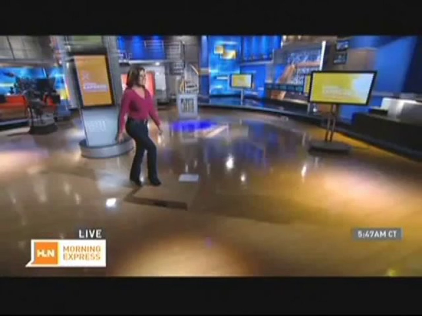 Robin Meade Jeans
