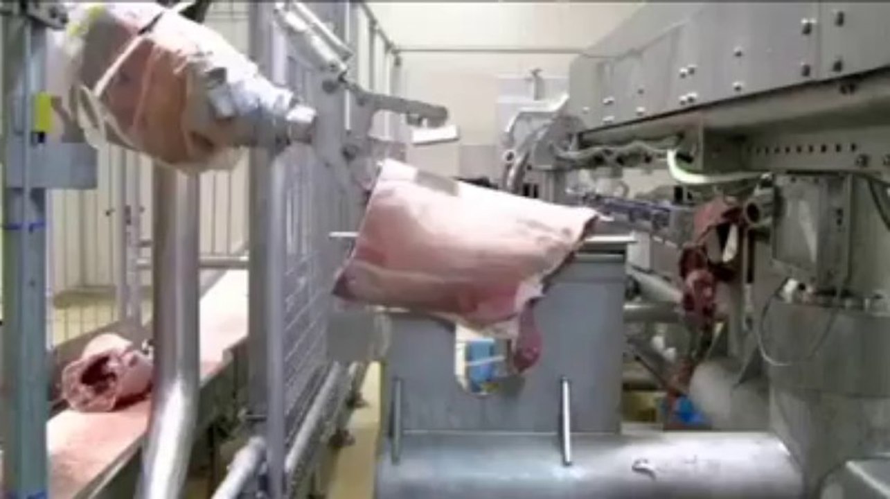 Inside Factory Meat Processing Plant Production - video Dailymotion