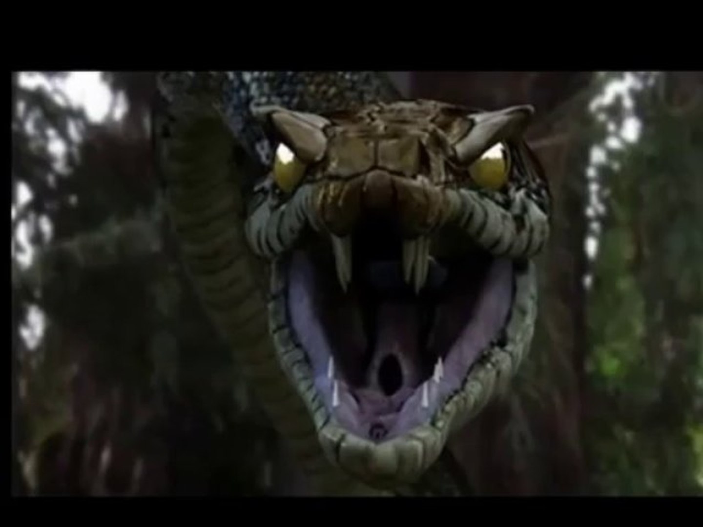 Terrifying Snakes