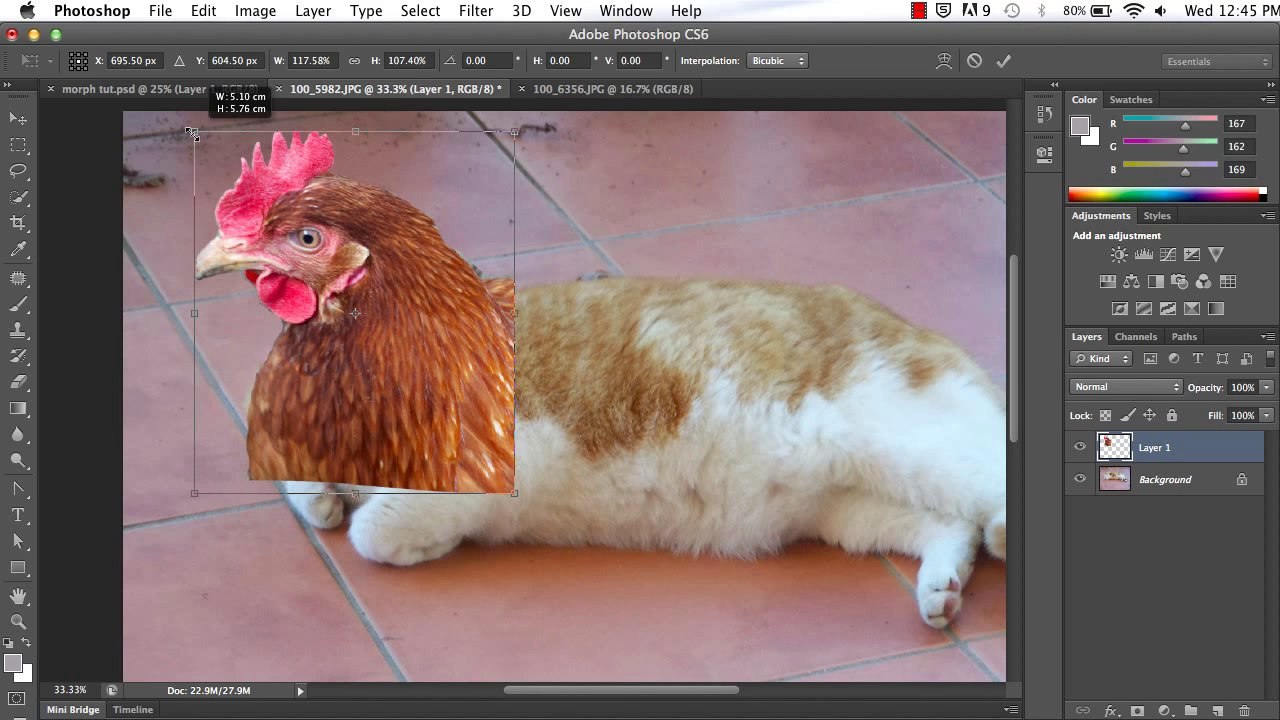 Photoshop: Morphing Animals and more - Tutorial - video Dailymotion