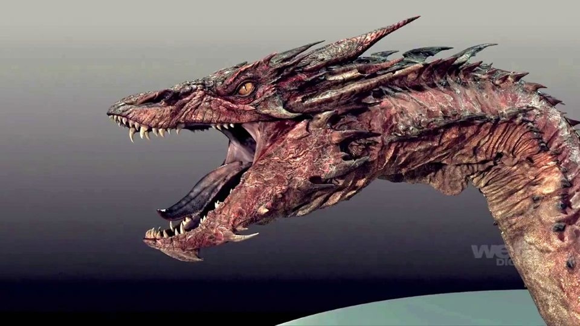 Smaug Head