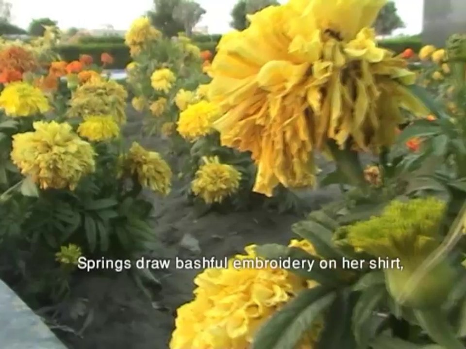 Sindhi Nazam, Singer Rauf Magsi, Directed By Imtiaz Solangi, Poetery ...