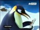 pigloo_le papa pingouin - Vidéo Dailymotion