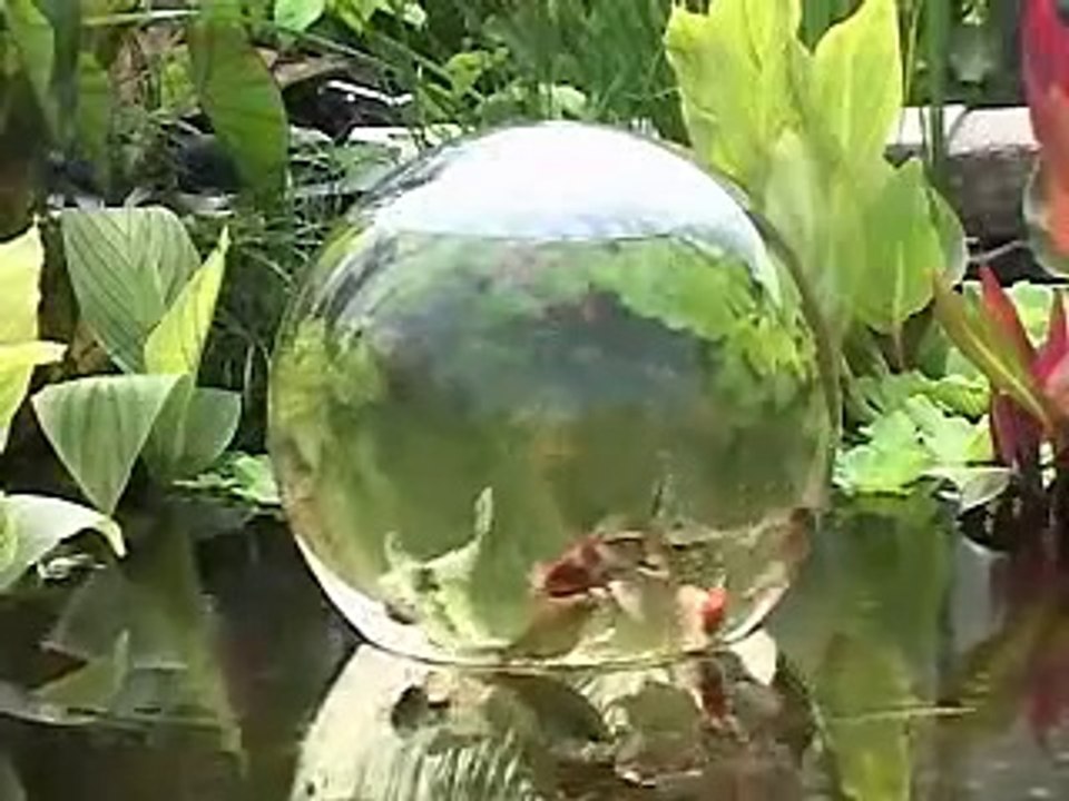 Add-A-Sphere Fish Bowl Allows Pond Fish To Swim Above Water’s Surface ...