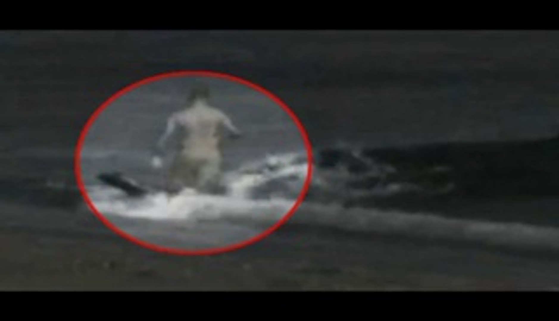 Whale Eating Man Wild Moment Whale Swallows A Kayaker And Spits Him