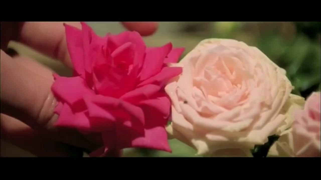 Roses à crédit - Bande annonce - Vidéo Dailymotion