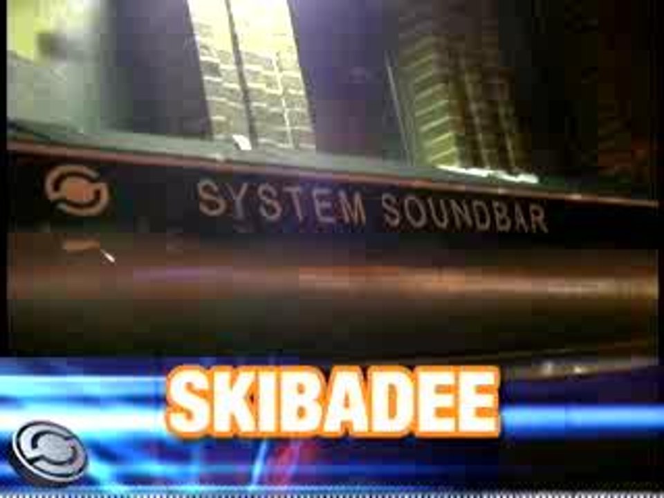 shyfx & skibadee @ system - Vidéo Dailymotion