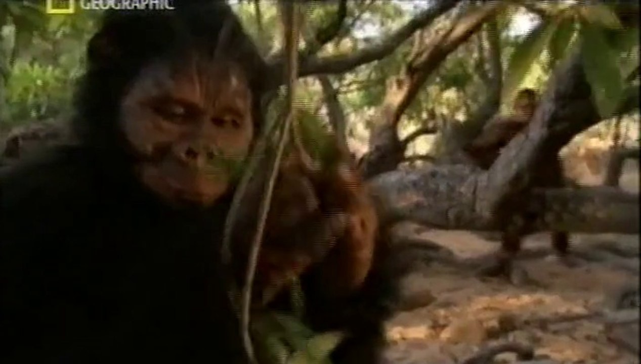 Walking With Cavemen Australopithecus