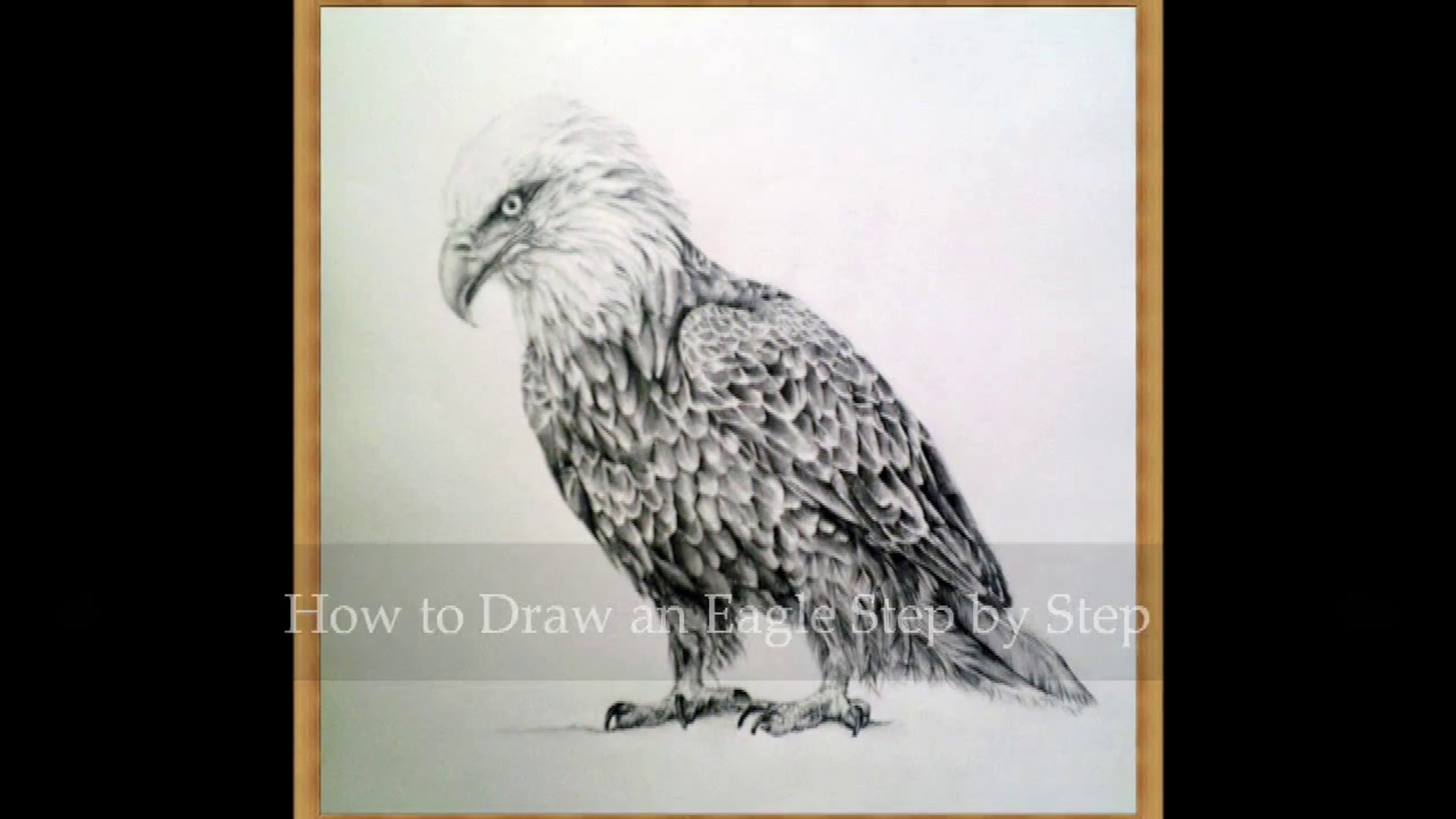 Easy Drawing Of A Eagle