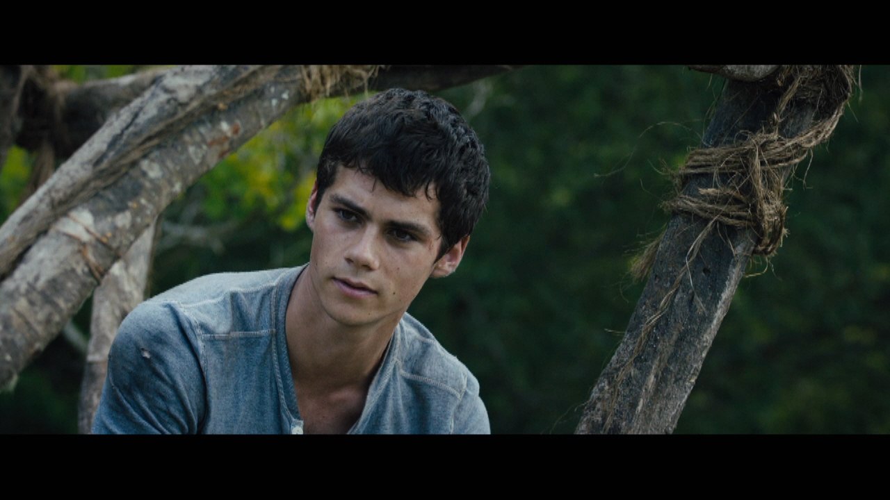 "The Maze Runner" First Trailer - video Dailymotion