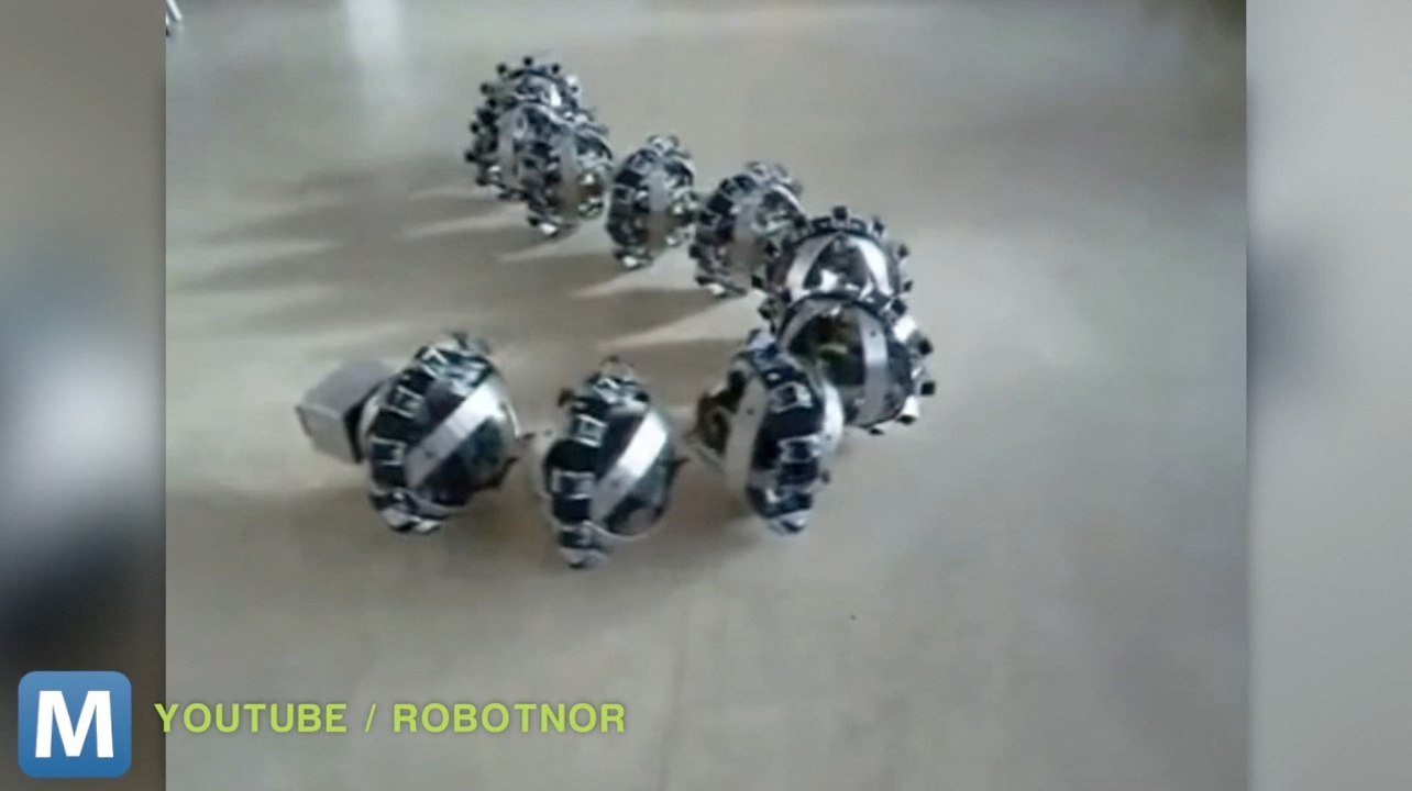 Robotic Snakes Could Head to Space - video Dailymotion
