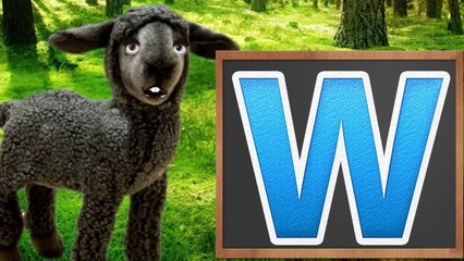 ABCount123 videos - Dailymotion