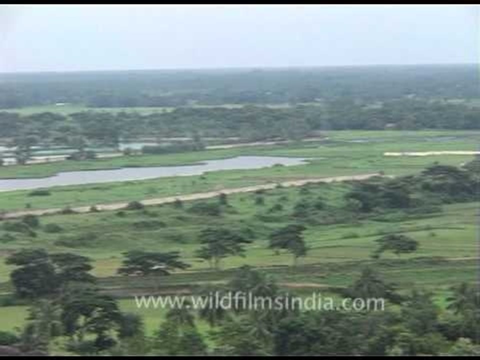Daya river plains, Bhubaneswar - video Dailymotion