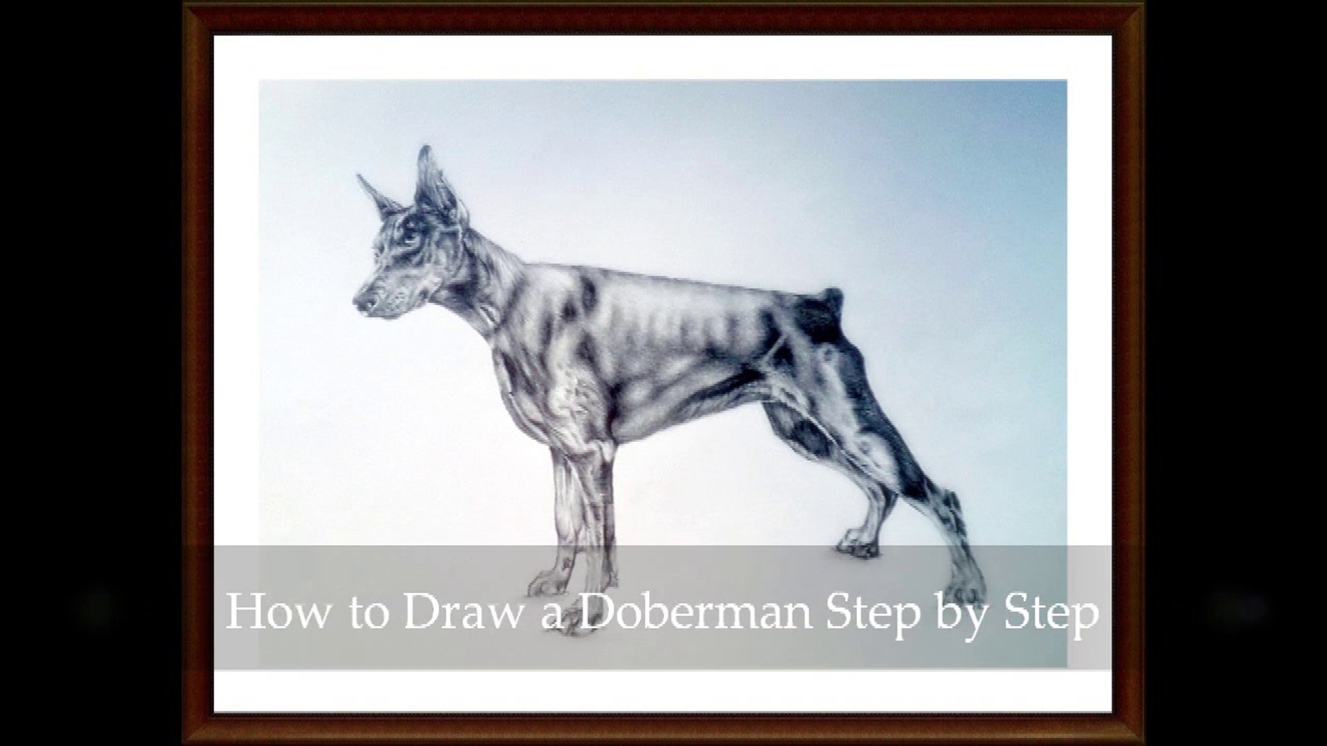 How To Draw A Doberman