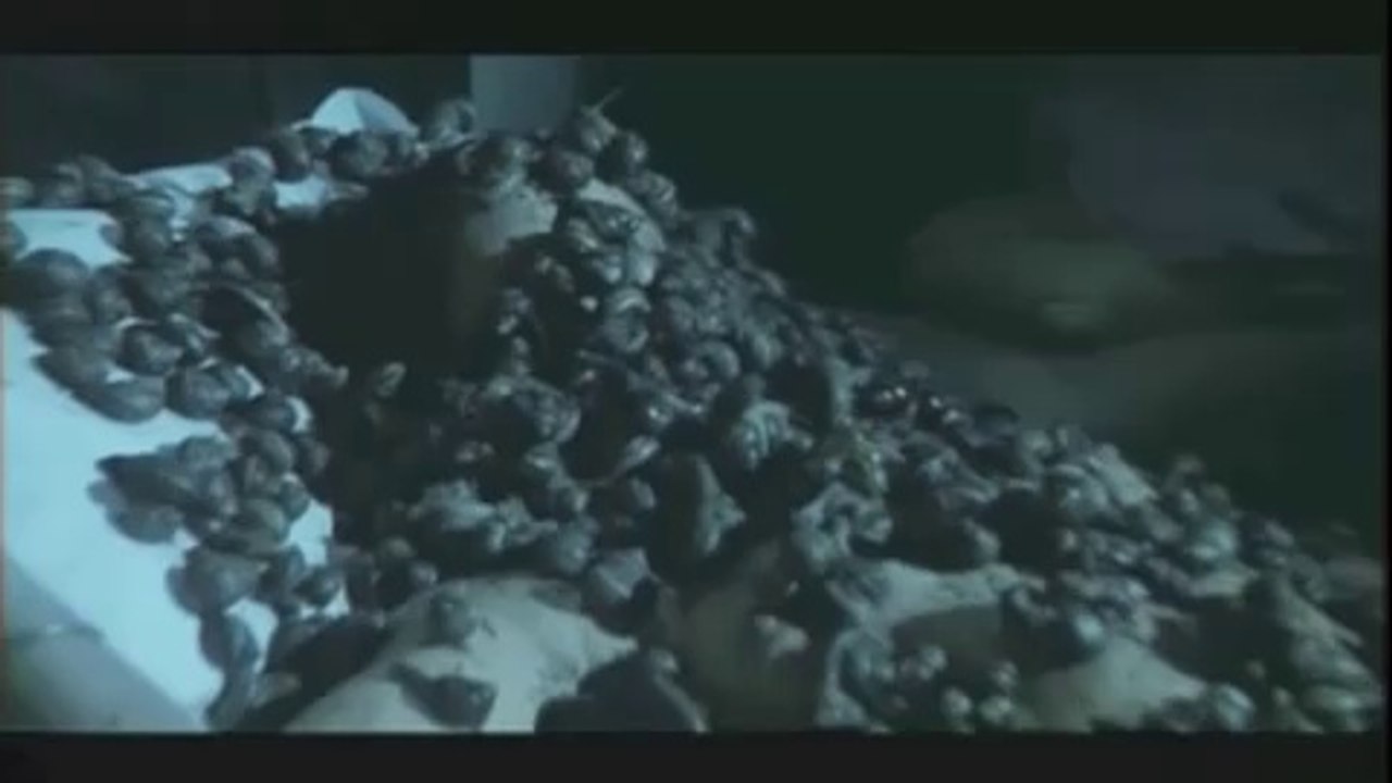 AENIGMA - Death by Snails - Vídeo Dailymotion