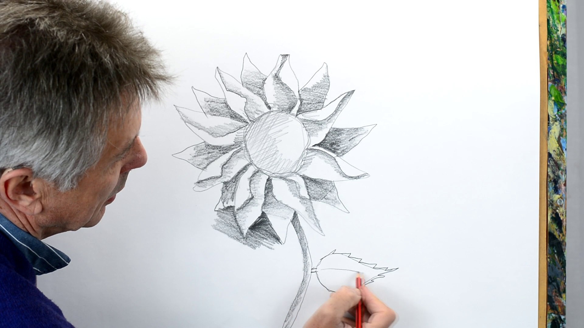 Sunflower Pencil Drawing