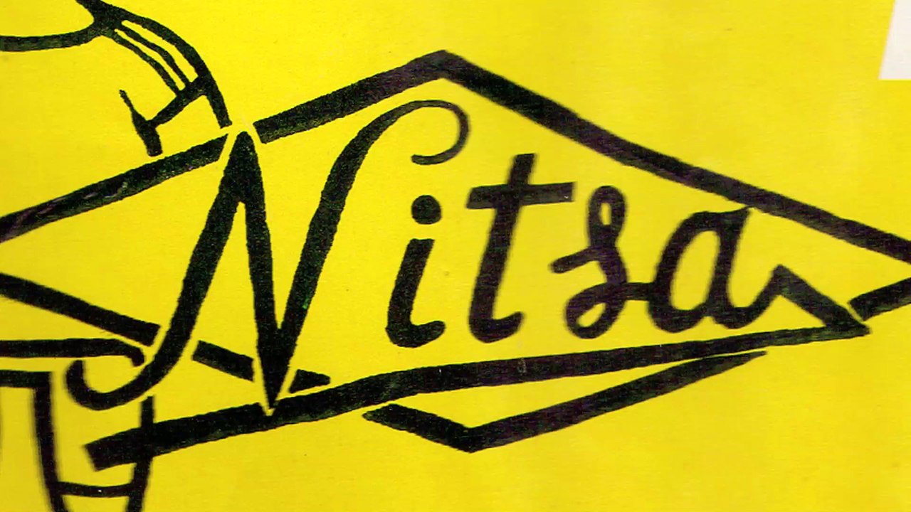 NITSA 94/96 EL GIRO ELECTRÓNICO - video Dailymotion