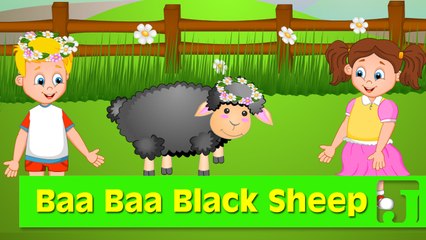 Jaccoled videos - Dailymotion