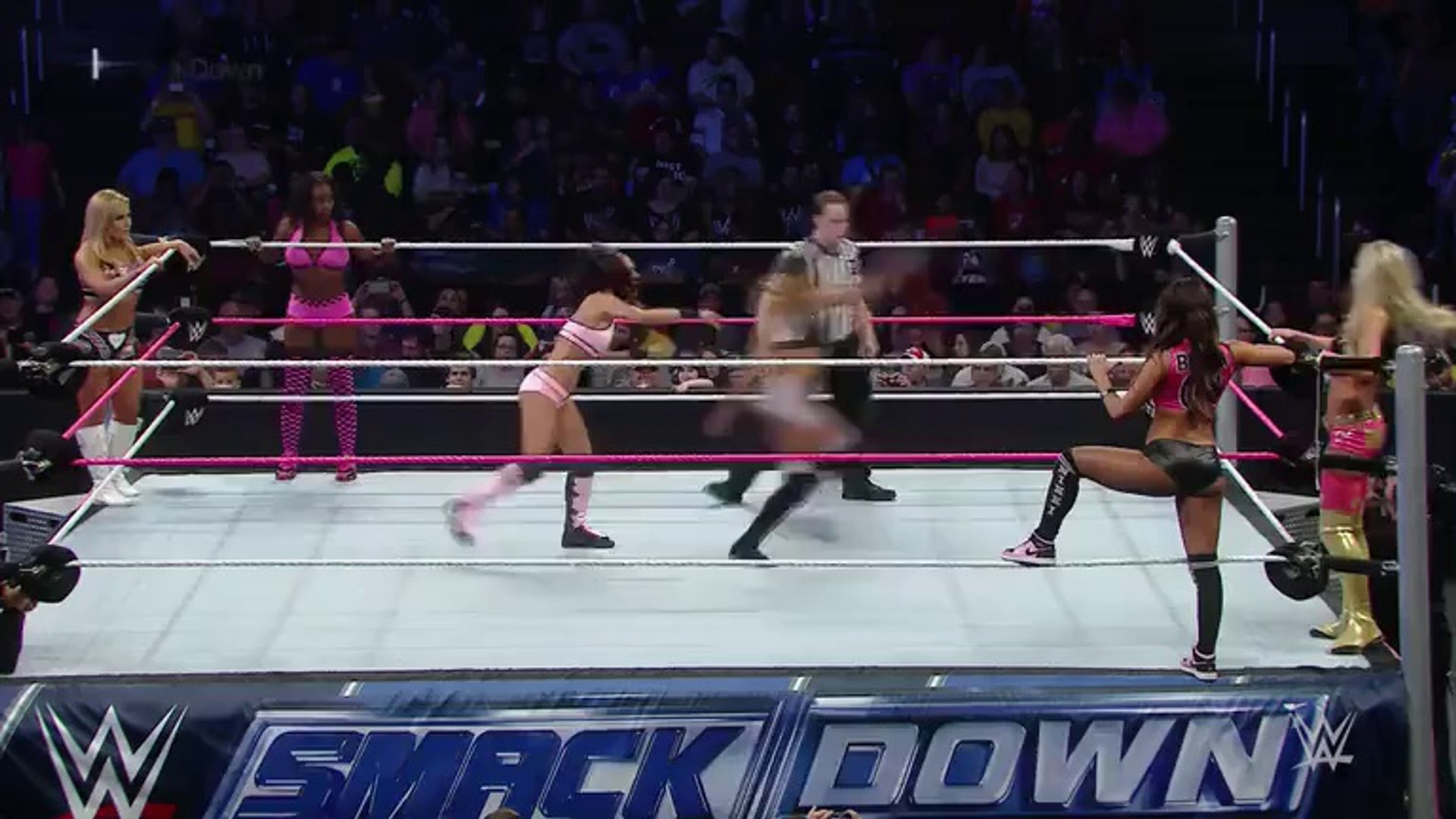 Natalya Vs Brie Bella Summerslam